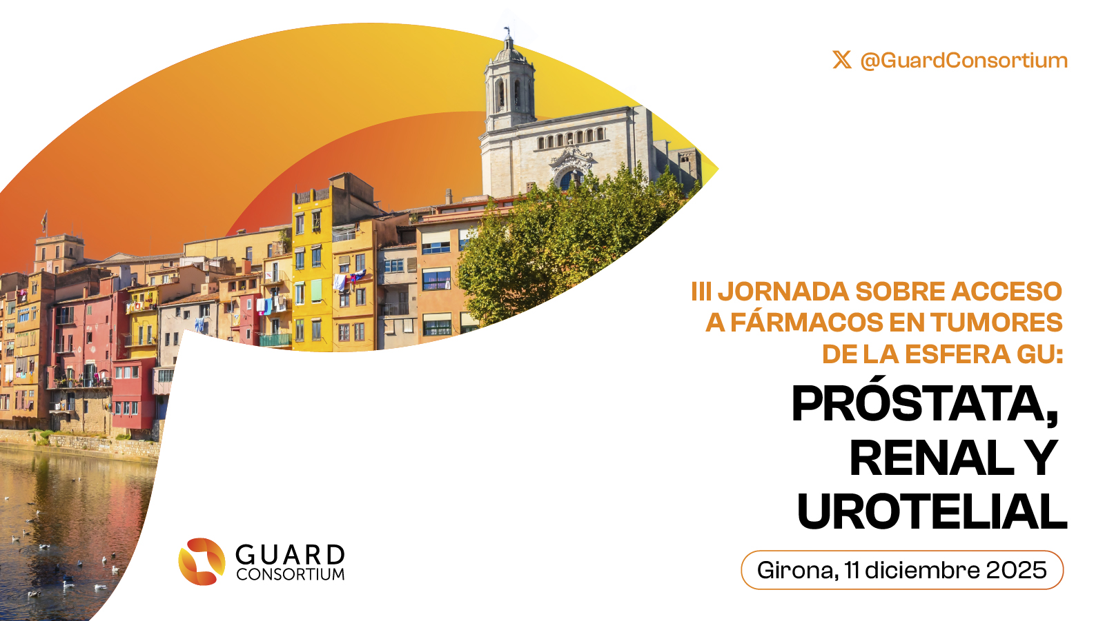 III JORNADA SOBRE ACCESO A FÁRMACOS EN TUMORES DE LA ESFERA GU ...